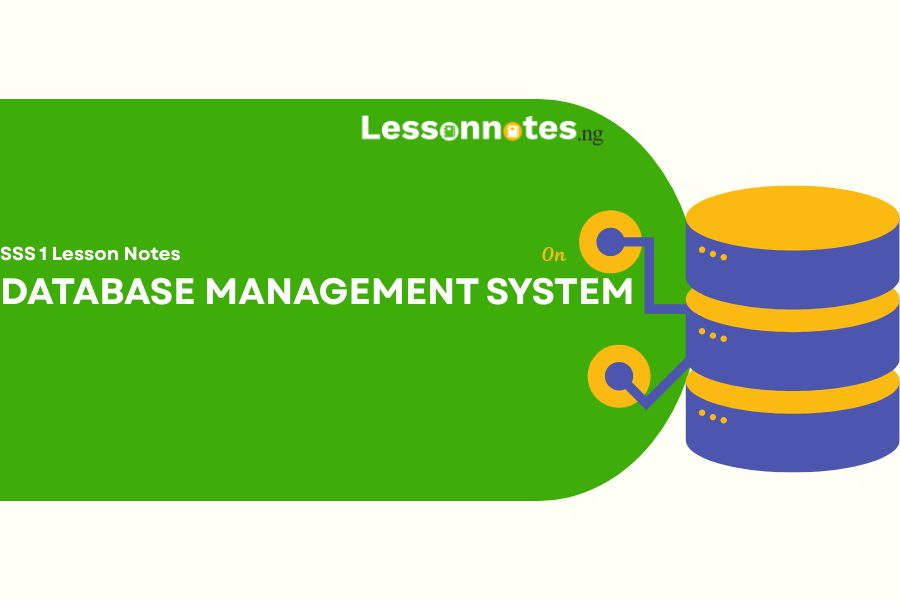 Database Management System: Functions & Examples