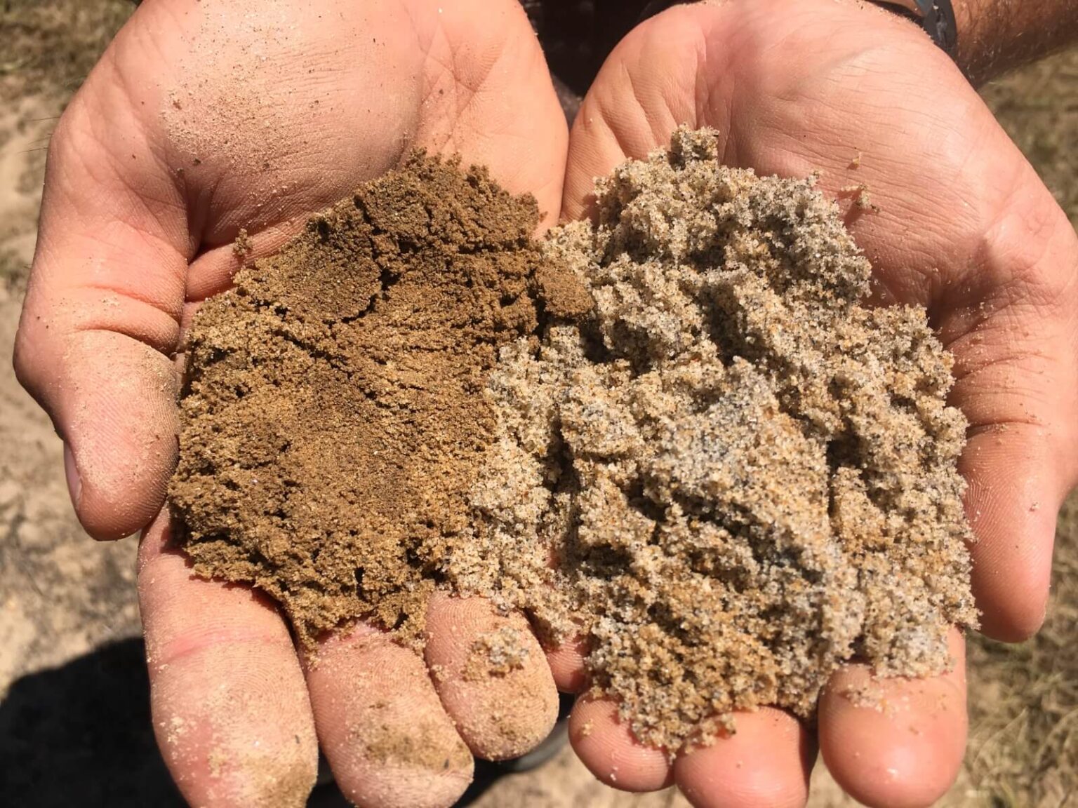 Factors Affecting Nutrient Availability In The Soil