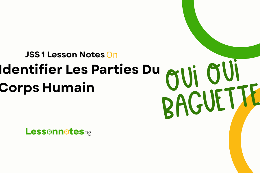 Identifier Les Parties Du Corps Humain